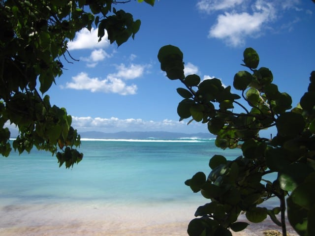 Sentier Anse Bertrand - Port Louis - Guadeloupe